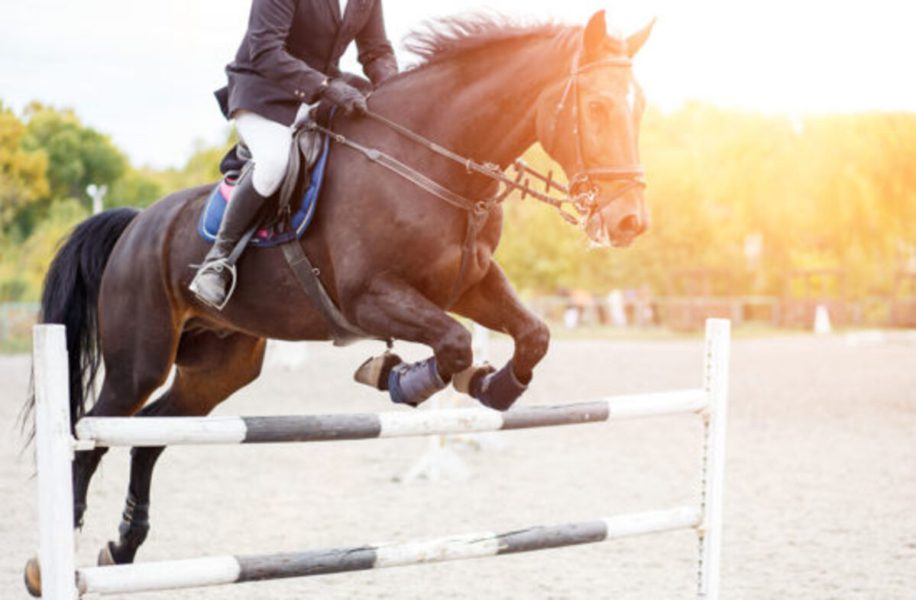 Beneficios que puedes lograr con La Equitación | On The Market