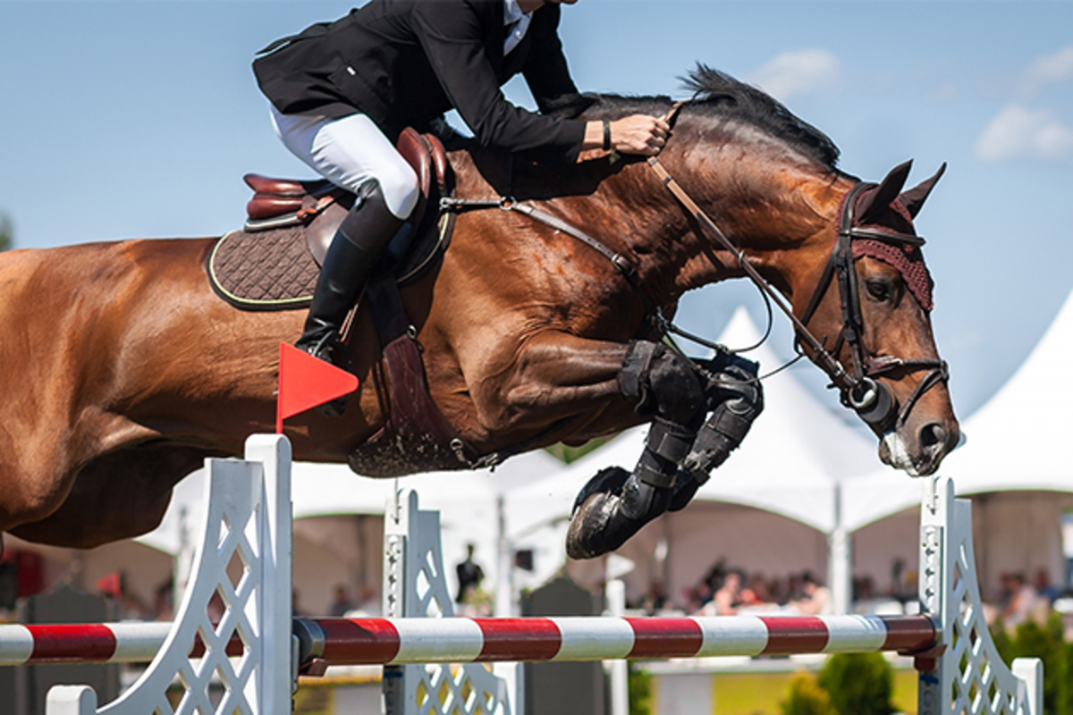 Beneficios que puedes lograr con La Equitación | On The Market